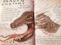 Seadragonus Giganticus Maximus | How to Train Your Dragon Wiki | Fandom