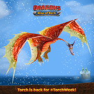 Gallery: Torch | How to Train Your Dragon Wiki | Fandom