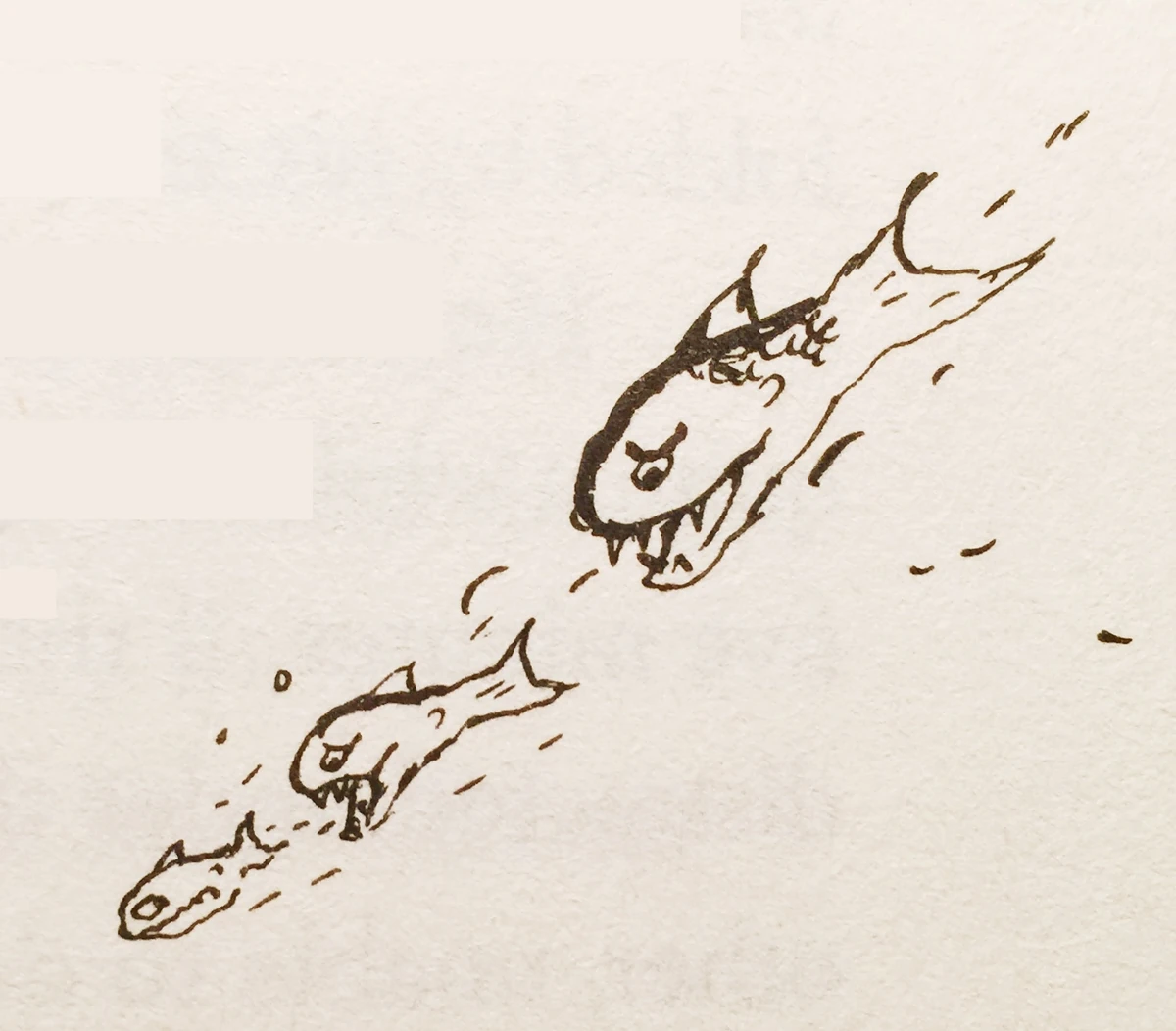 Fish | How to Train Your Dragon Wiki | Fandom