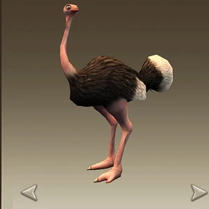 Discuss Everything About How to Train Your Dragon Wiki | Fandom