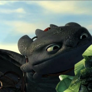 Discuss Everything About How to Train Your Dragon Wiki | Fandom
