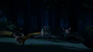 Gallery: Typhoomerang / Riders of Berk | How to Train Your Dragon Wiki ...