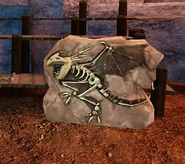 Dragon Anatomy | How to Train Your Dragon Wiki | Fandom