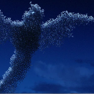 Discuss Everything About How to Train Your Dragon Wiki | Fandom