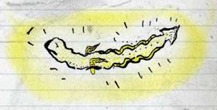 Glow-worm | How to Train Your Dragon Wiki | Fandom