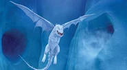 Gallery: Snow Wraith / Dragons: Race to the Edge | How to Train Your ...