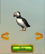 Puffin | How to Train Your Dragon Wiki | Fandom