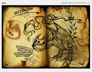 Gallery: Dragon Manual | How to Train Your Dragon Wiki | Fandom