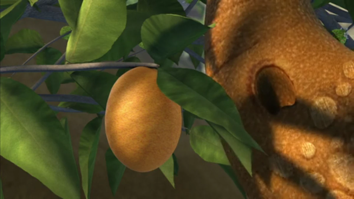 Fruit | How to Train Your Dragon Wiki | Fandom