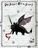 Driller-Dragon | How to Train Your Dragon Wiki | Fandom