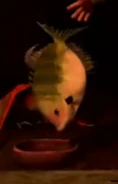 Gallery: Fish | How to Train Your Dragon Wiki | Fandom