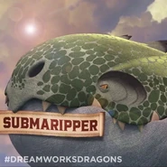 Gallery: Large Shadow Wing | How to Train Your Dragon Wiki | Fandom