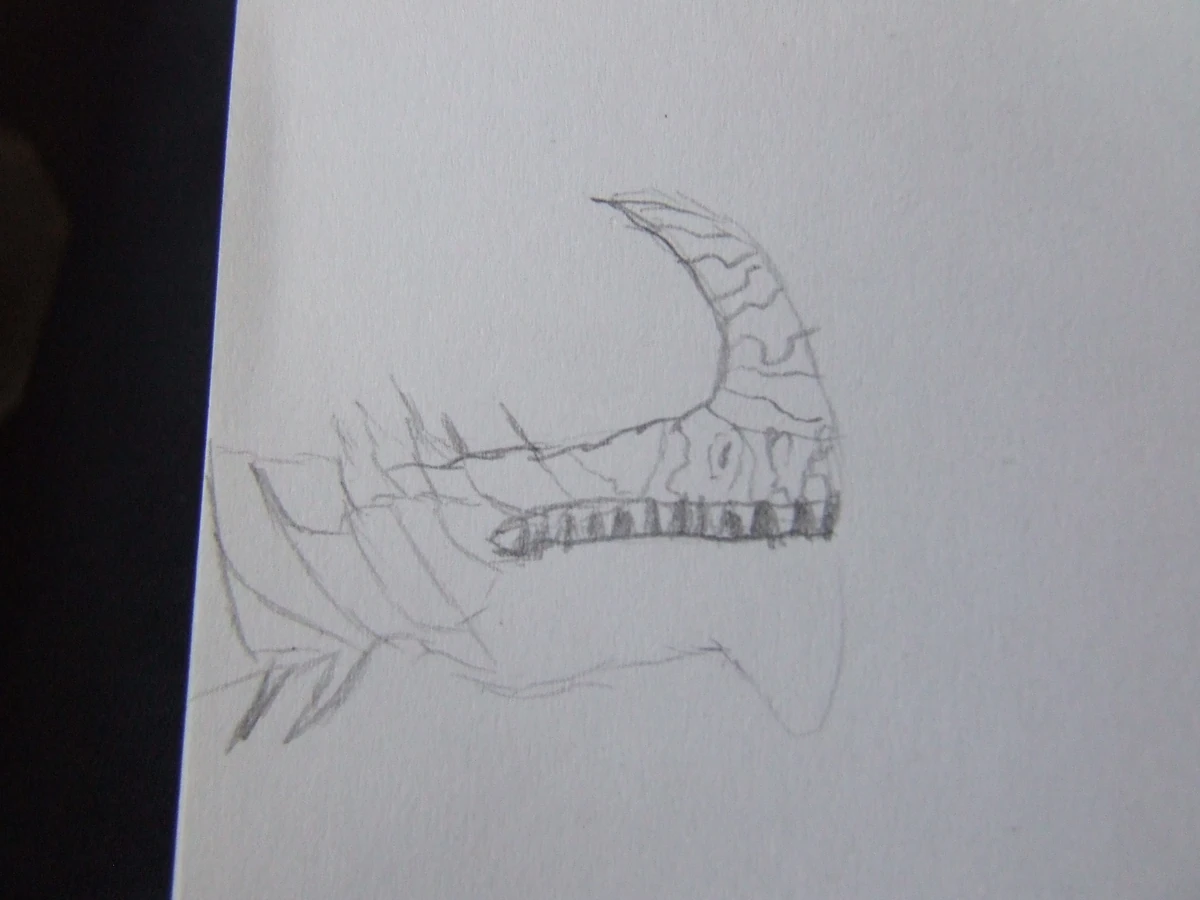 User blog:Thedutchsniper/Drawing the head of a Razorwhip | How to Train ...