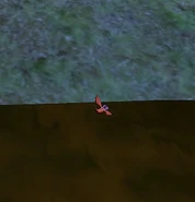 Gallery: Grimora | How to Train Your Dragon Wiki | Fandom