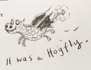 Hogfly | How to Train Your Dragon Wiki | Fandom