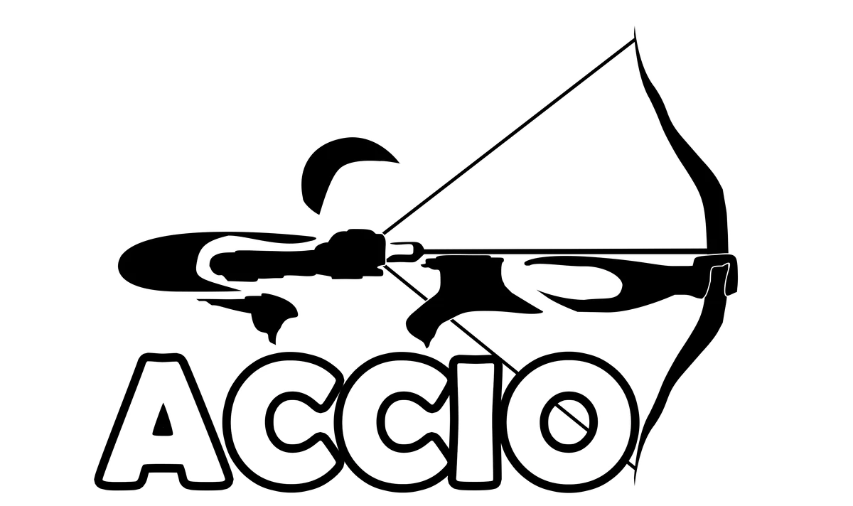 Accio Sports Equipment | Wikia HP Fanon fic | Fandom