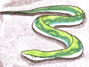 Tom Riddle | HPMOR Wiki | Fandom