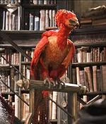 Phoenix feather | Harry Potter Wands Wiki | Fandom