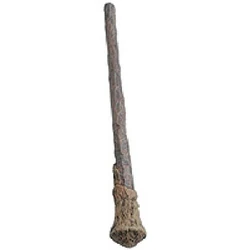 Ron Weasley's second wand | Harry Potter Wands Wiki | Fandom