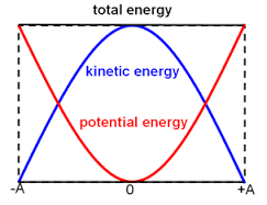 Variation of KE and PE in SHM | HSC Boards Wikia | Fandom
