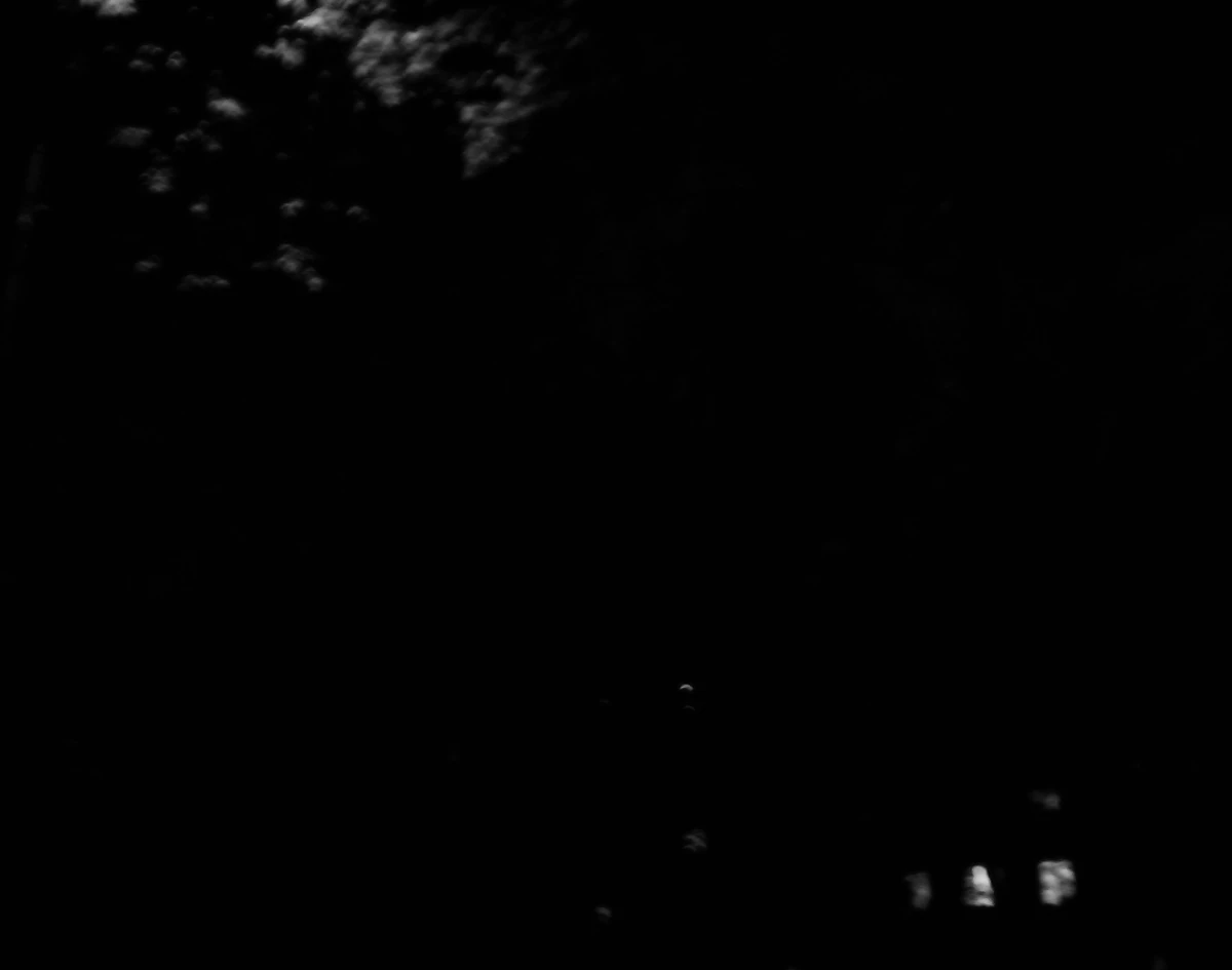 The Black Plague | HSH Fanon Wiki | Fandom