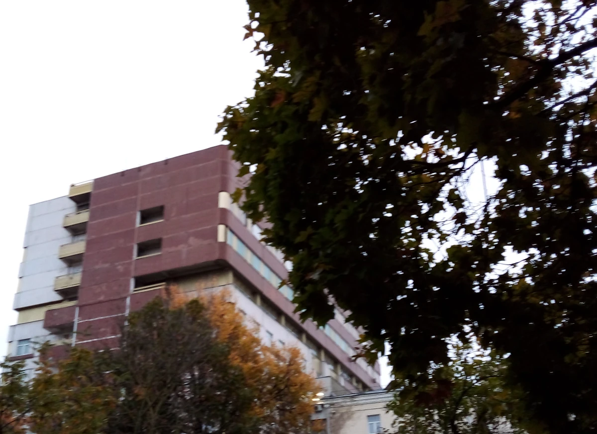 Face Seeings | HSH Fanon Wiki | Fandom