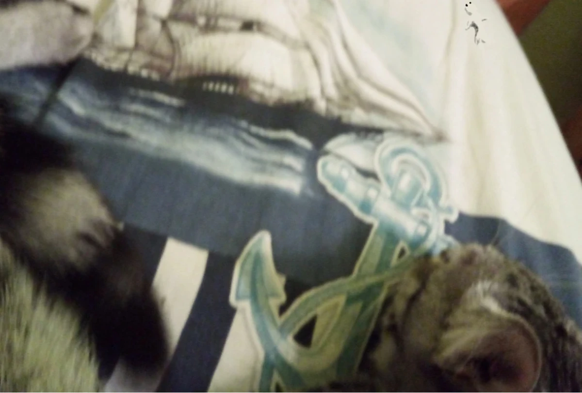 Bed Sprite | HSH Fanon Wiki | Fandom