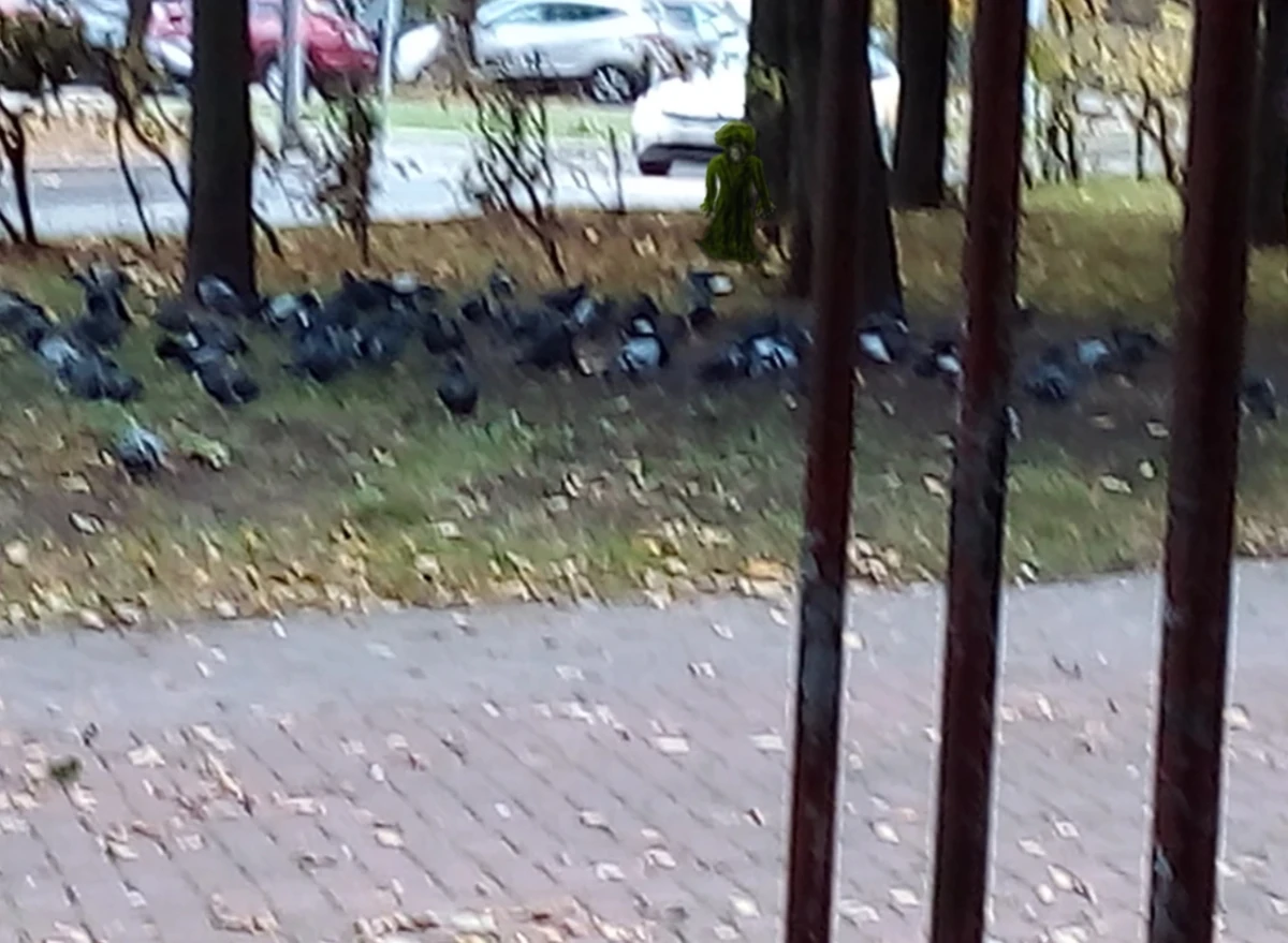 Abushemma | HSH Fanon Wiki | Fandom