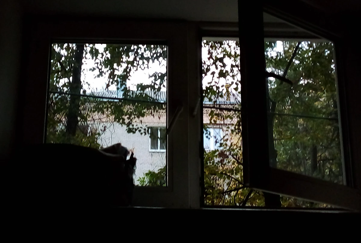 Flipper | HSH Fanon Wiki | Fandom