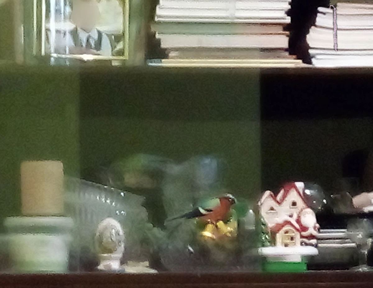 Book Worm | HSH Fanon Wiki | Fandom