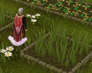 Farming | Hshd Wiki | Fandom