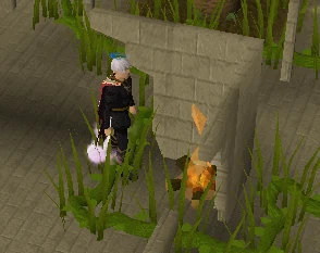 Cooking | Hshd Wiki | Fandom