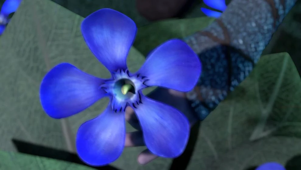 Blue Oleander | HTTYD Universe Wiki | Fandom