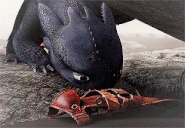 Toothless | HTTYD Universe Wiki | Fandom