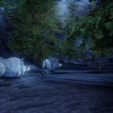 Боров Бьёрн | Как приручить дракона вики | Fandom