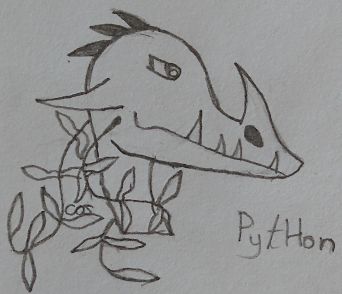 Python How To Train Your Dragon Fanon Wiki Fandom Python How To Train Your Dragon Fanon Wiki Fandom