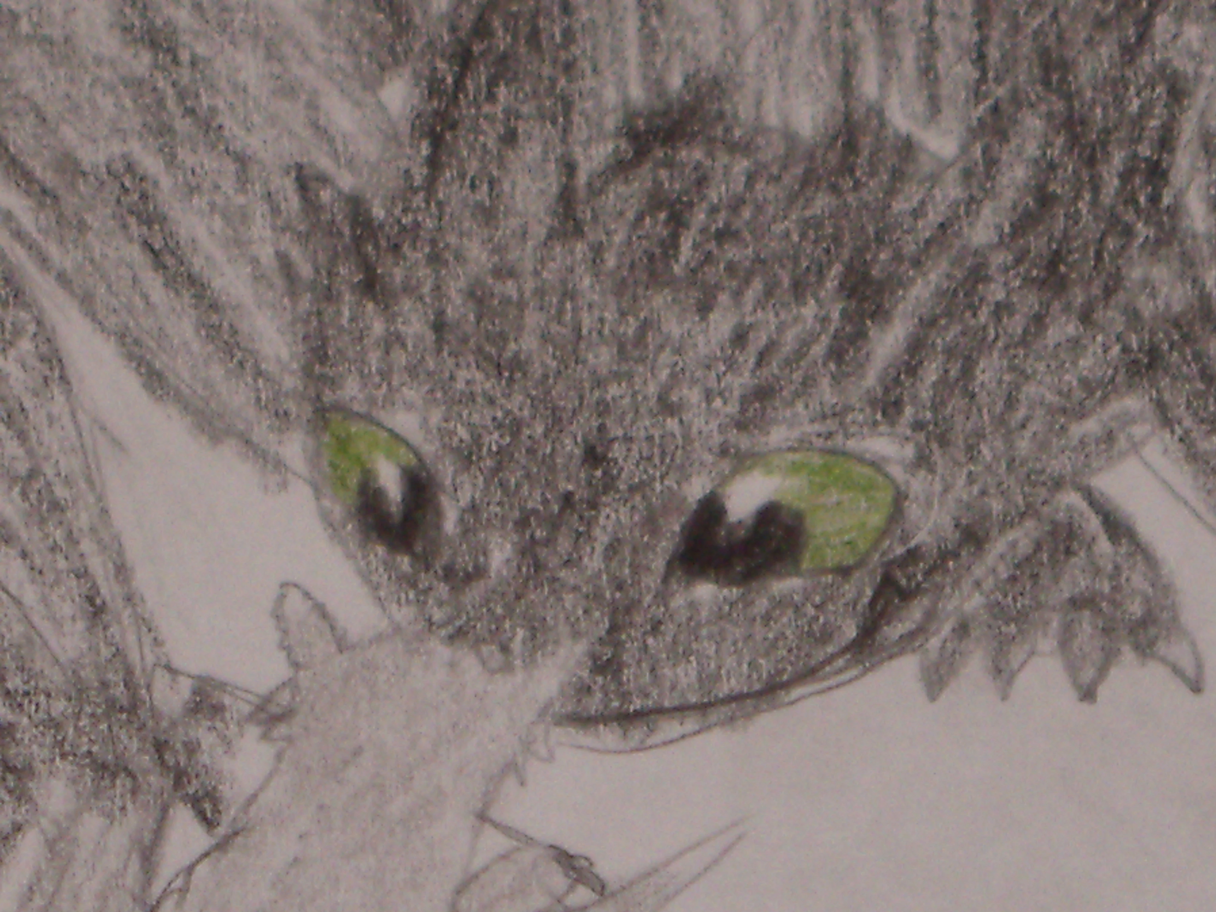 Category:Strike Class dragons | How to Train Your Dragon Fanon Wiki ...