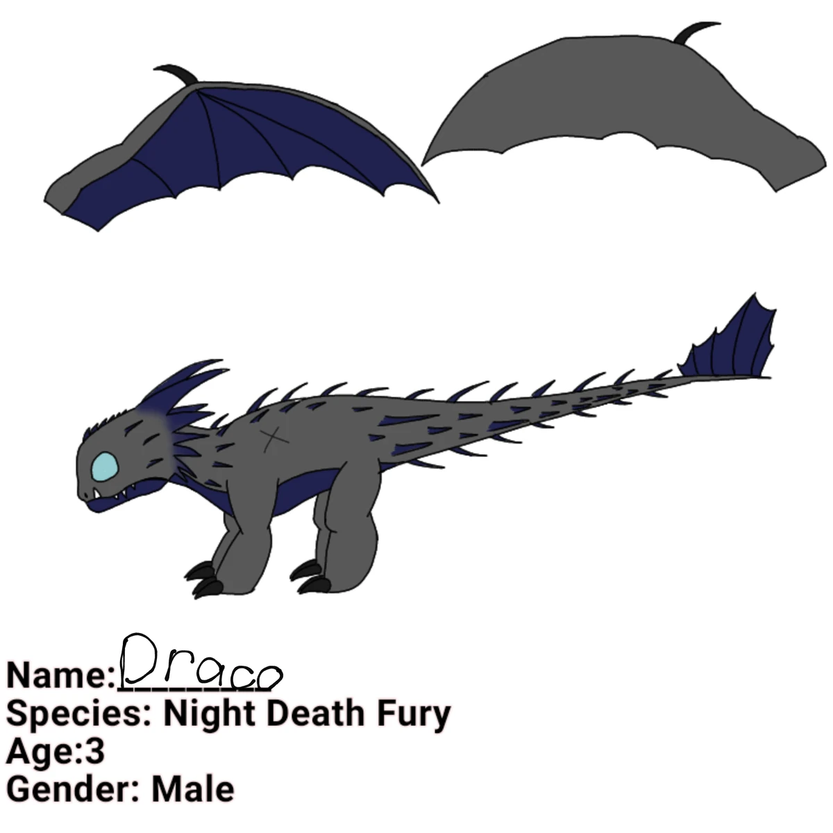 Draco | How to Train Your Dragon Fanon Wiki | Fandom