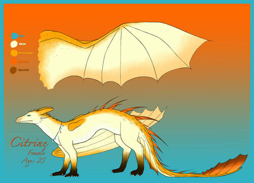 Rannow the Reckless | How to Train Your Dragon Fanon Wiki | Fandom