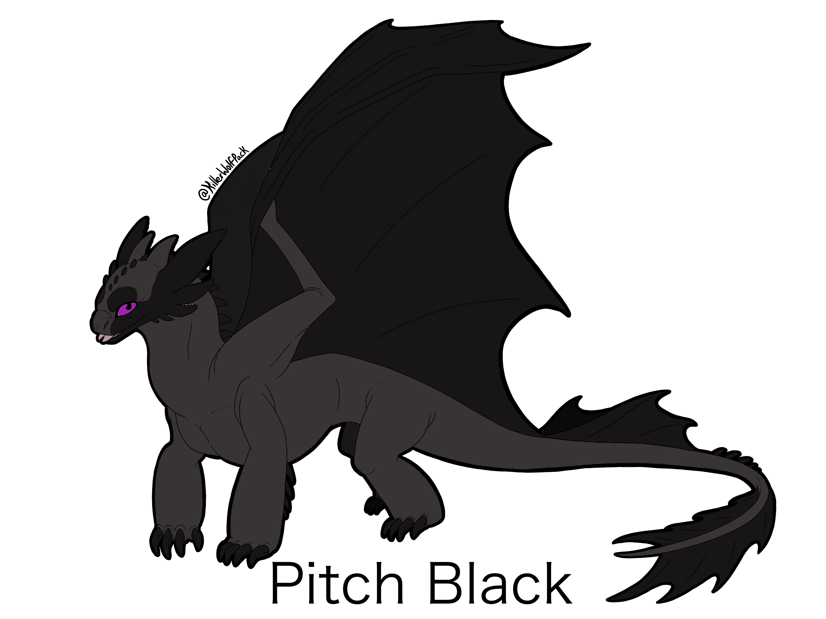 Black And White Night Fury