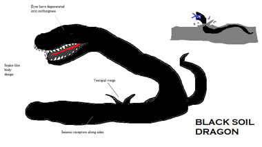 Black Soil Dragon | How to Train Your Dragon Fanon Wiki | Fandom