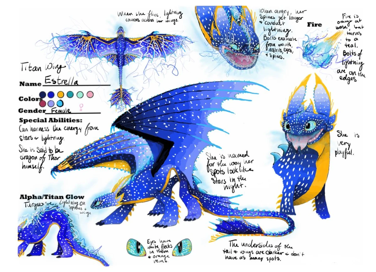 Night Fury Diagram How To Train Your Dragon | Official Franchise Site