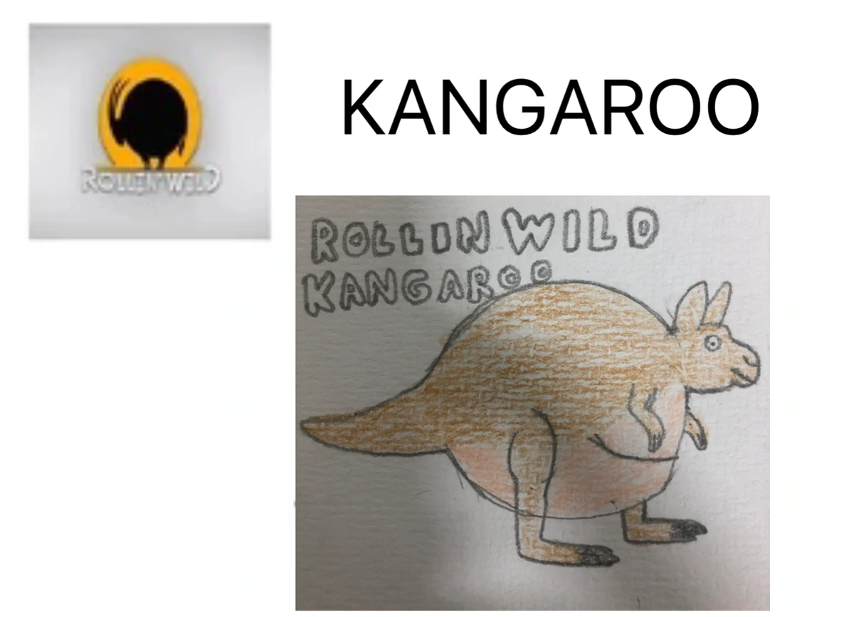 ROLLIN' WILD OC : Kangaroo by SmashGamer16 (DeviantArt stuff) | Hub ...
