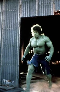 The Incredible Hulk Returns (1988) | Hulk Wiki | Fandom