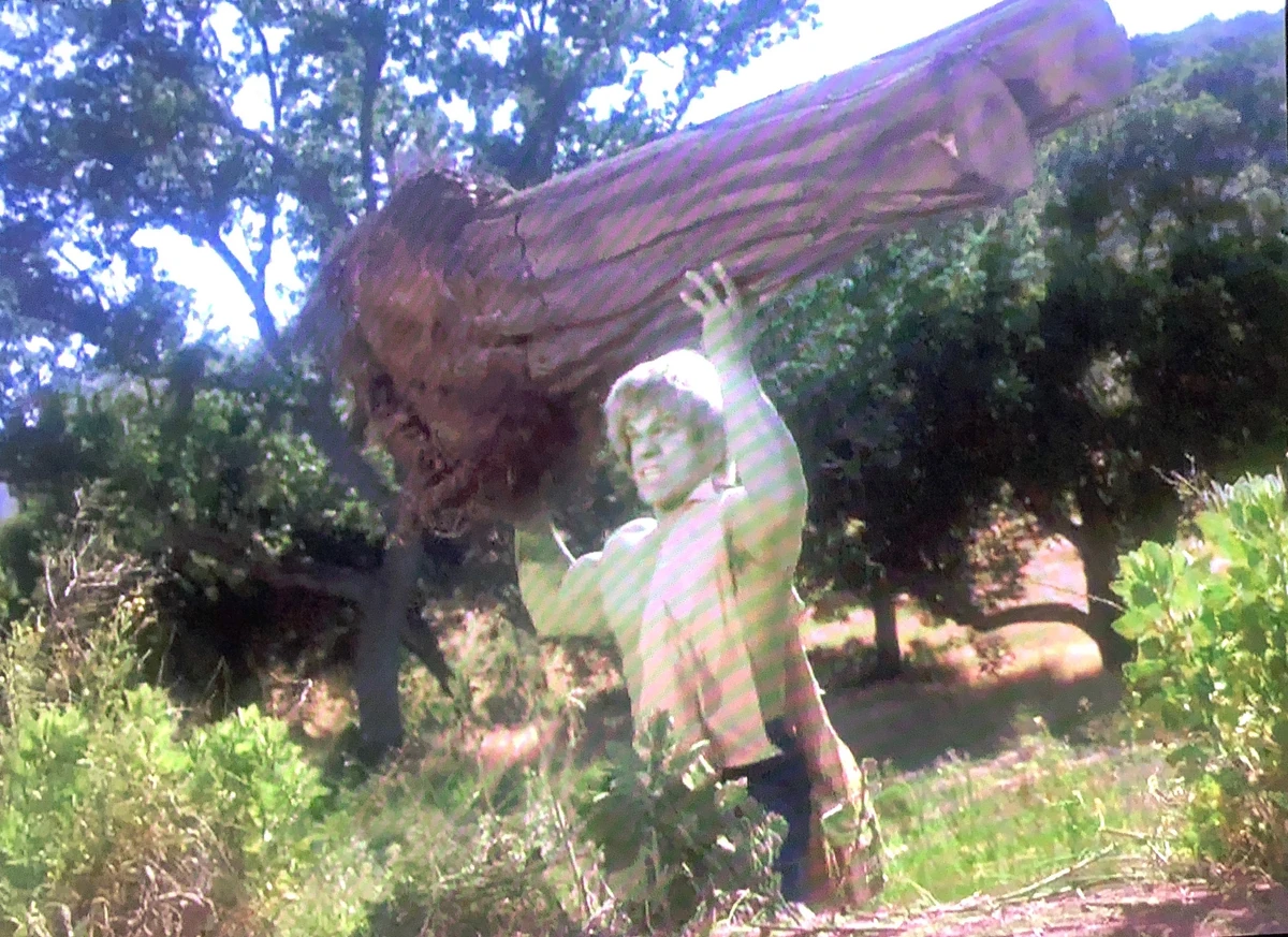 Triangle | Hulk Wiki | Fandom