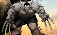 List of Hulk incarnations | Hulk Wiki | Fandom