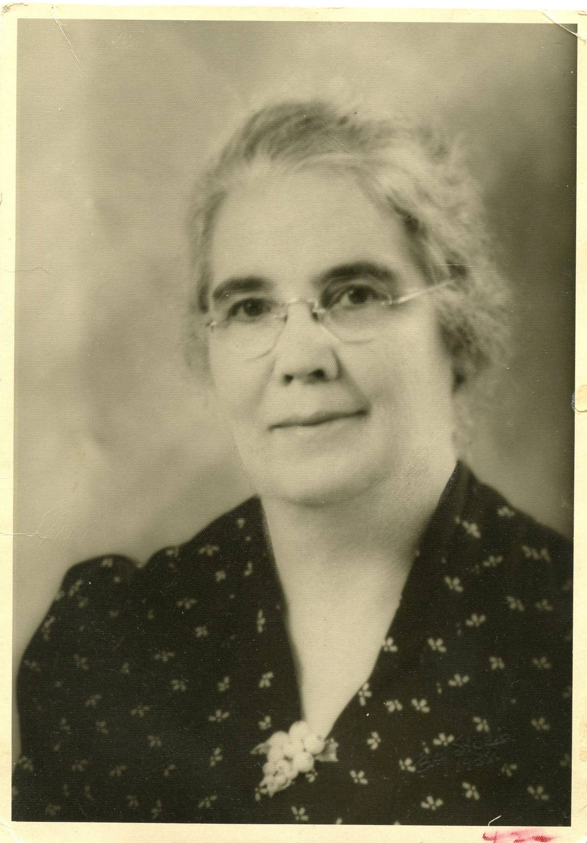 Olive Mary Renier (1876-1955) | Human Ancestry Wiki | Fandom