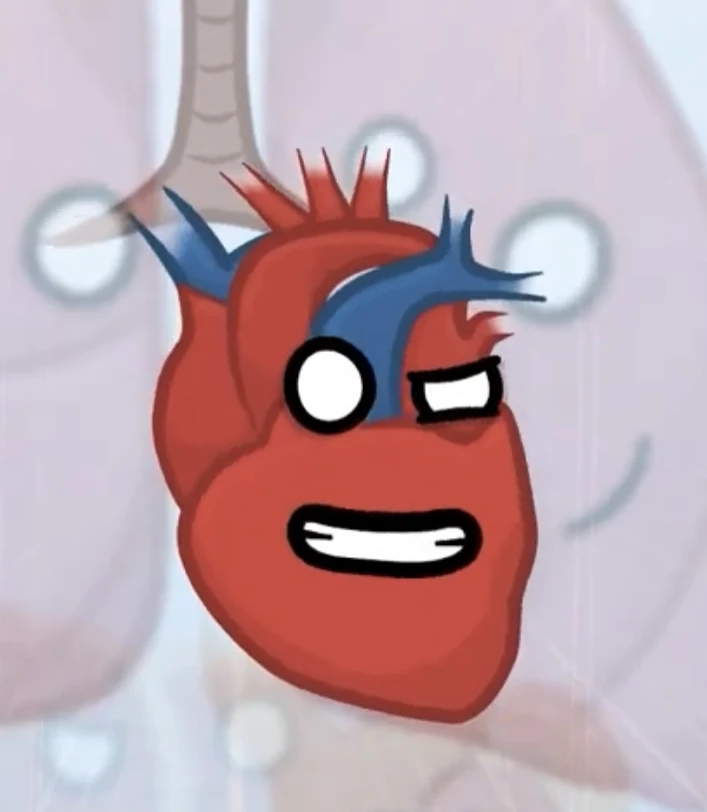 Corazón | Wiki Human Buddy Español | Fandom