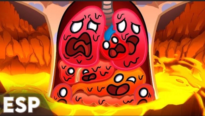 ¿Puede Tu Cuerpo Sobrevivir en un VOLCÁN? | Wiki Human Buddy Español ...