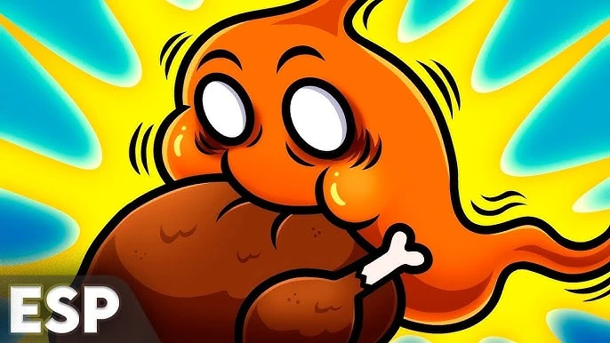 ¡Cómo dejar de sentir hambre todo el tiempo! | Wiki Human Buddy Español ...